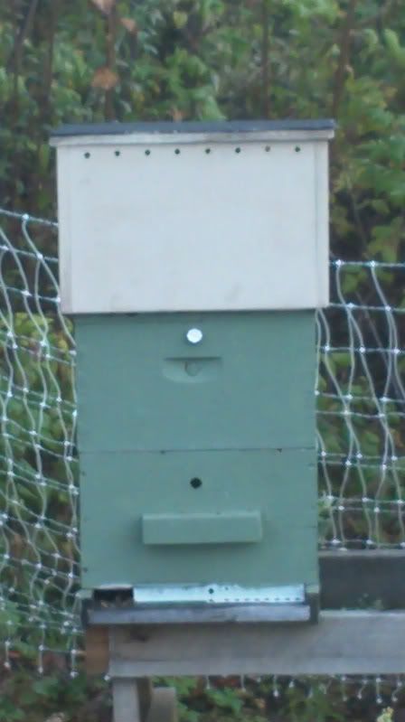 Windproof winter cover. (prototype) | Beesource Beekeeping Forums
